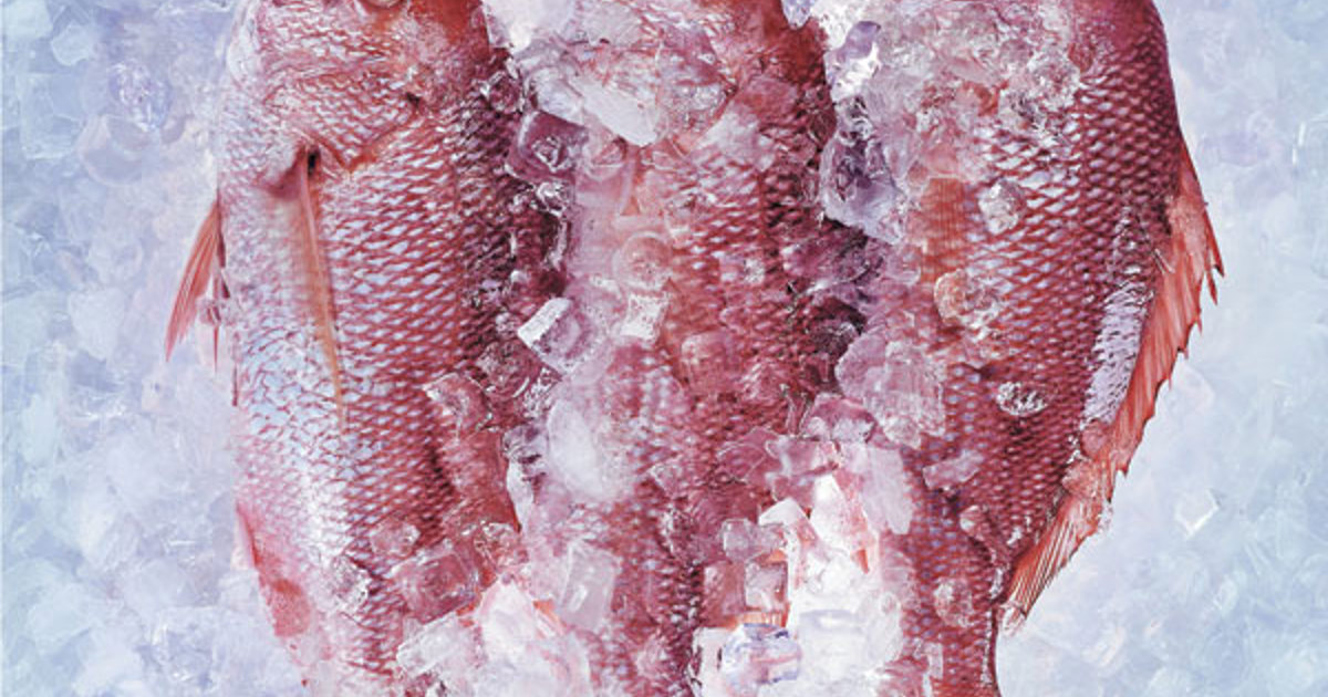 Food Lovers' Guide: Euclid Fish Co.