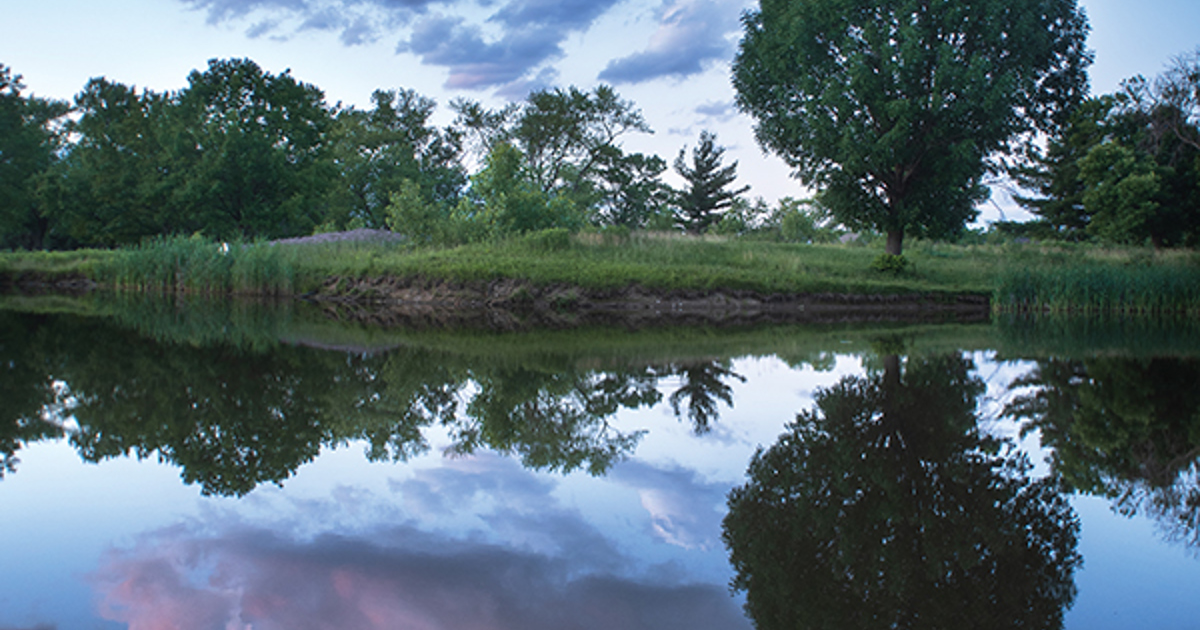 Photographer Alex Farmer Captures Cleveland's Natural Symmetry