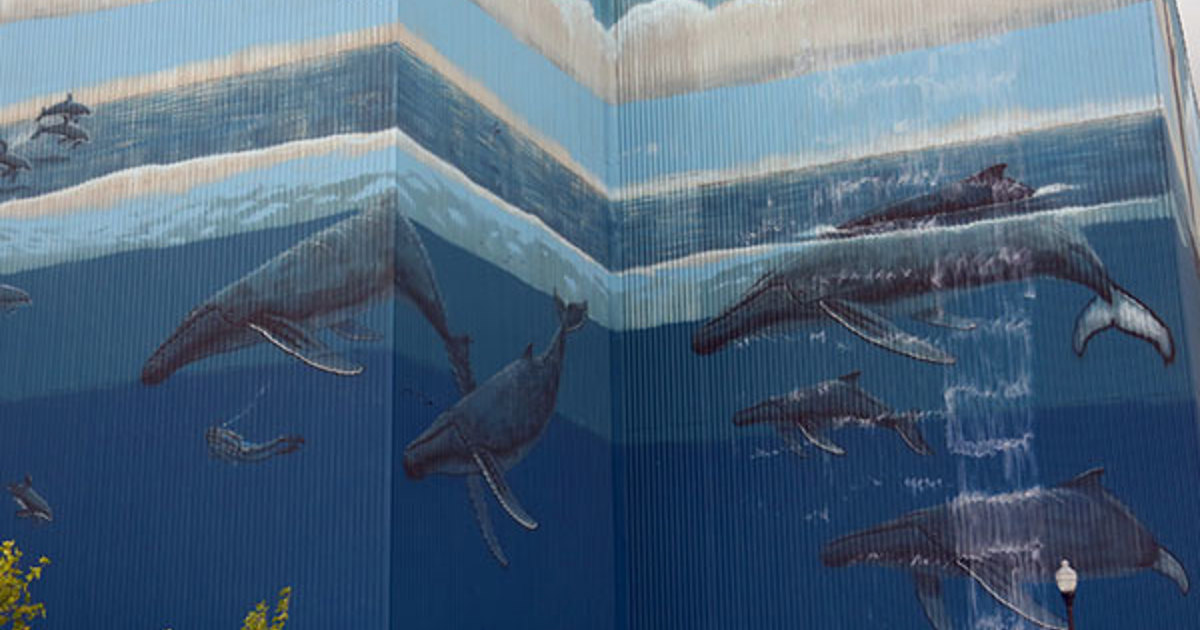 Iconic Cleveland: The Story Behind the Whaling Wall