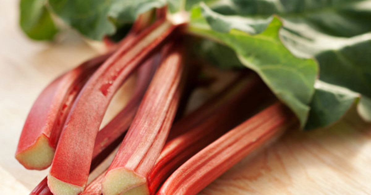 Spring Fling: Fall in Love with These Rhubarb Recipes