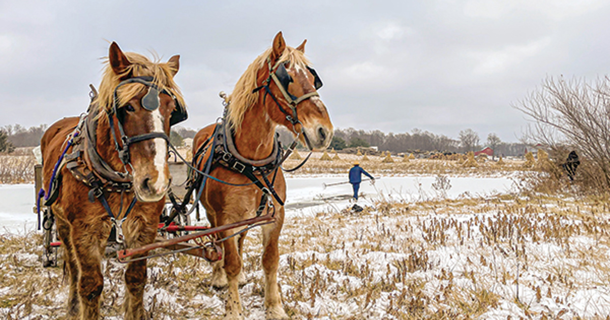 Photos Capture the Art of Amish Ice Cutting in Ohio