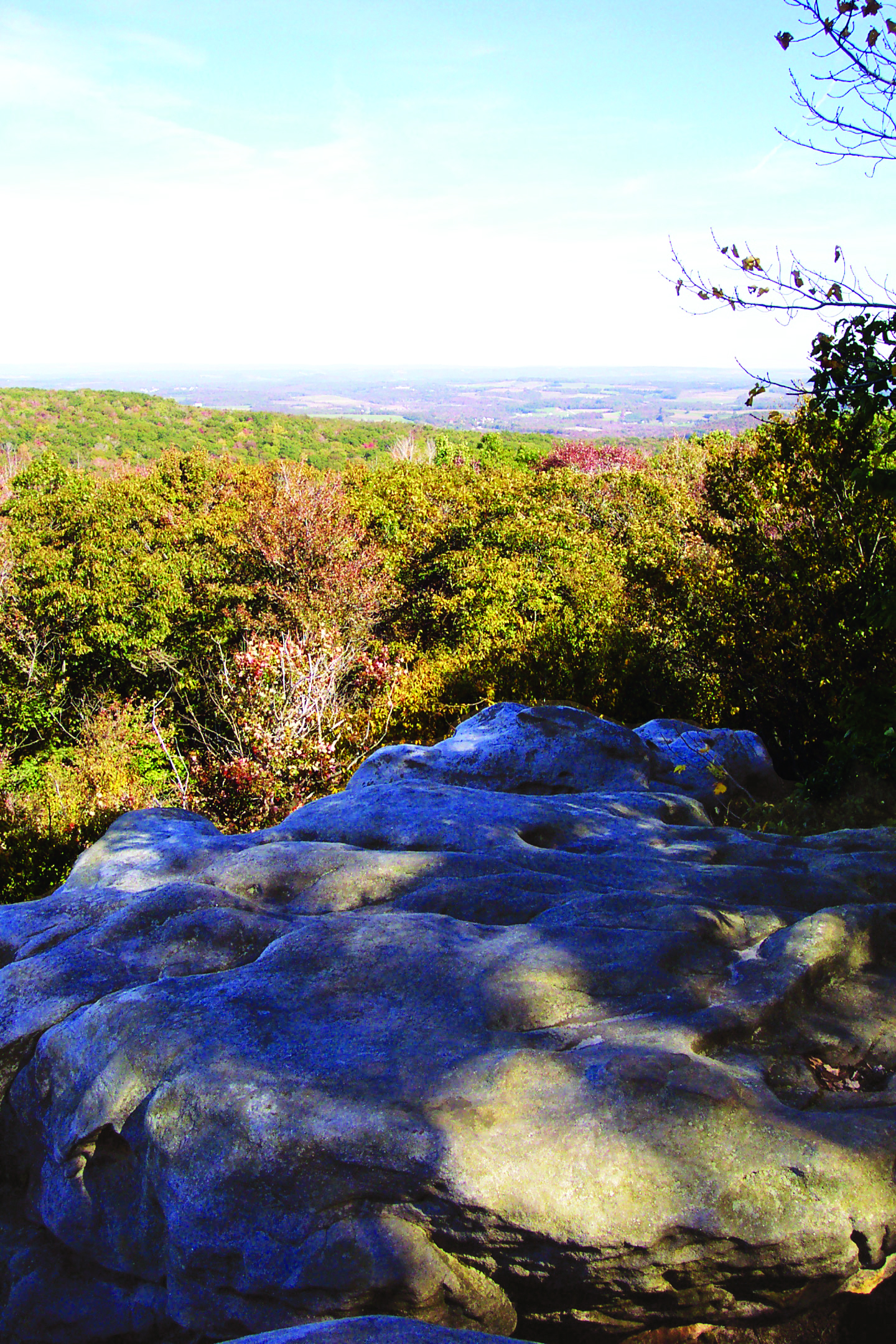 Forbes State Forest | Westmoreland, Somerset and Fayette counties ...