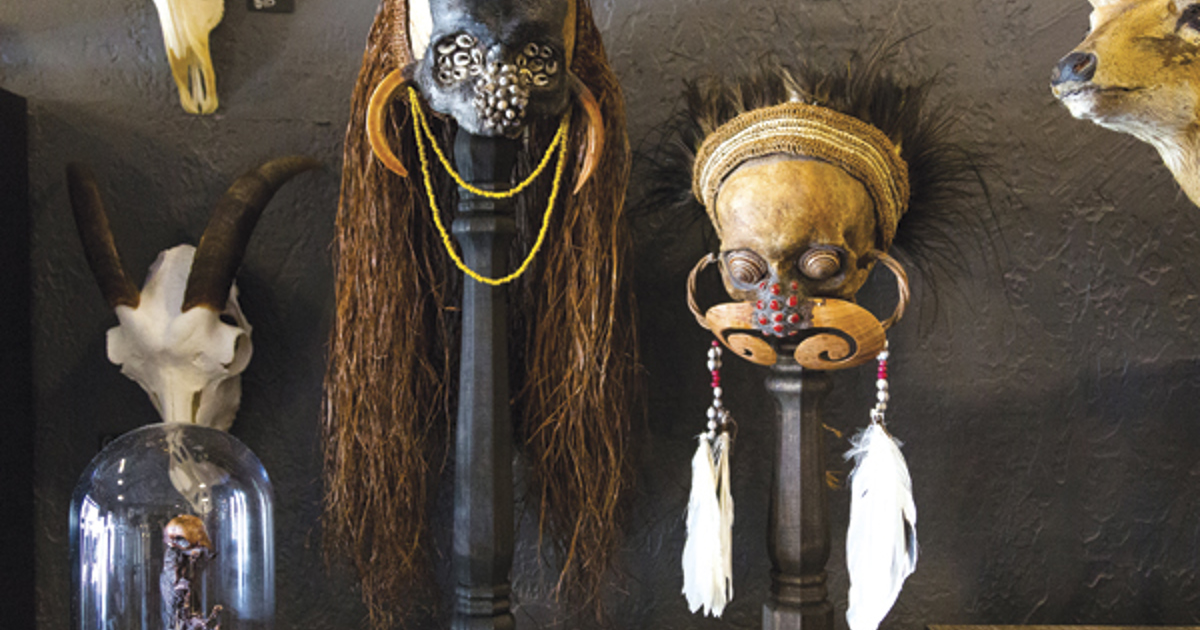 We Explore Oddity Store Cleveland Curiosities