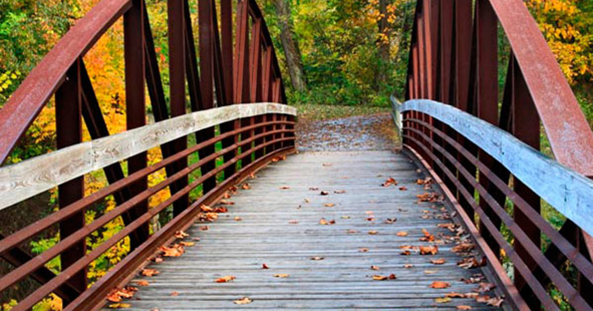 The Middle Path
